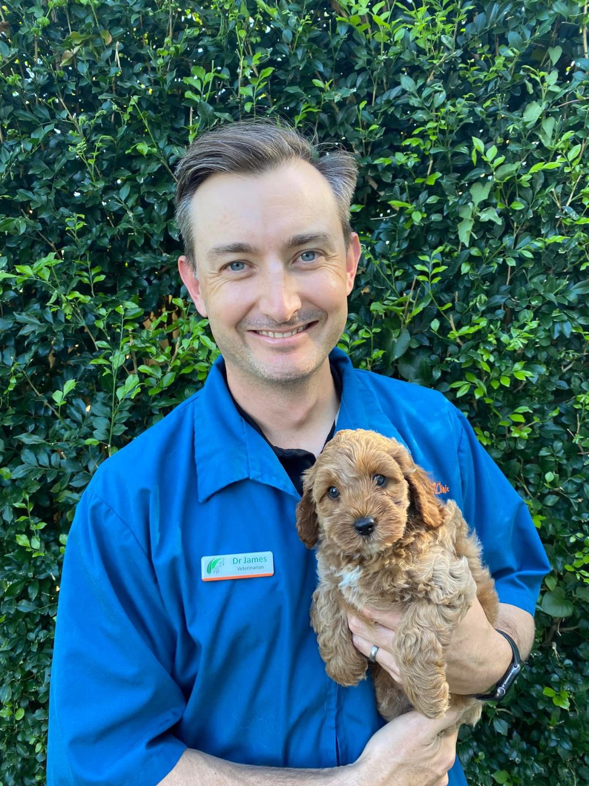 Dr James McCulloch - Daisy Hill Veterinary Clinic